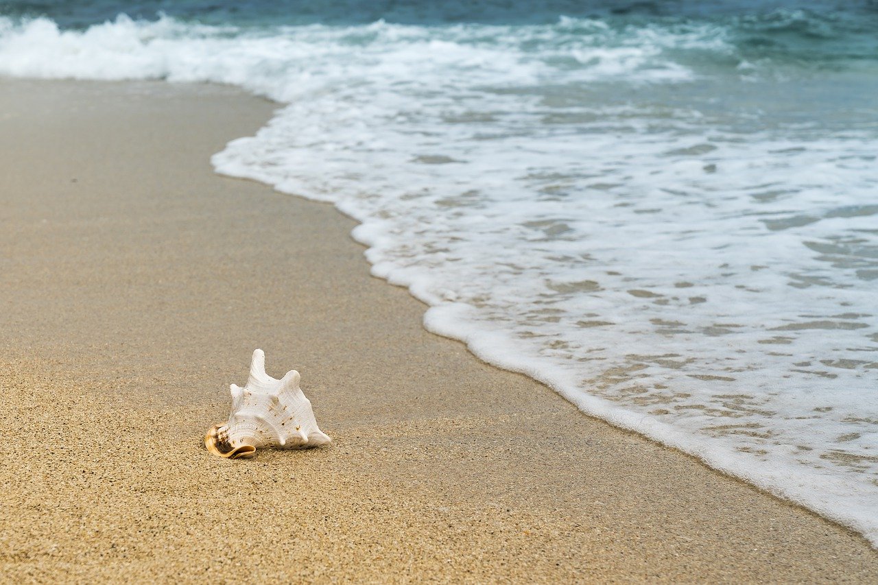 10 Melhores praias em Punta del Este - Mundo Viajante