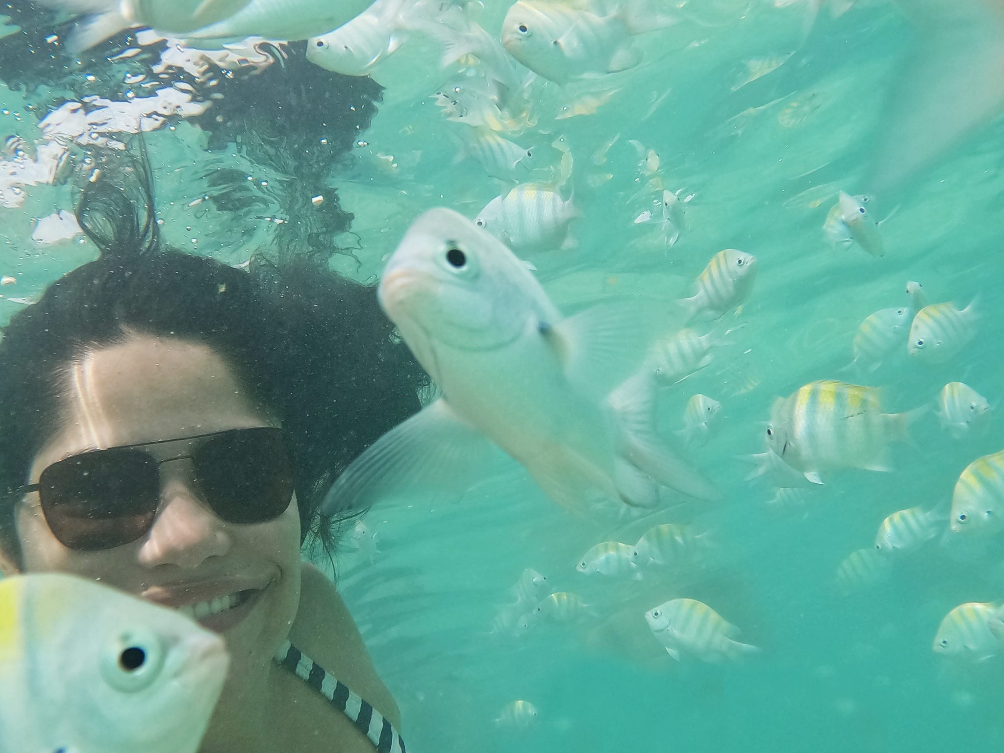 Melhores passeios em Maceió: 10 opções incríveis em Alagoas